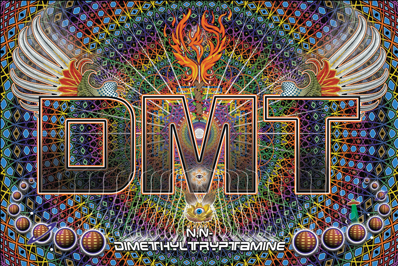 DMT on Trial – Syrian Rue